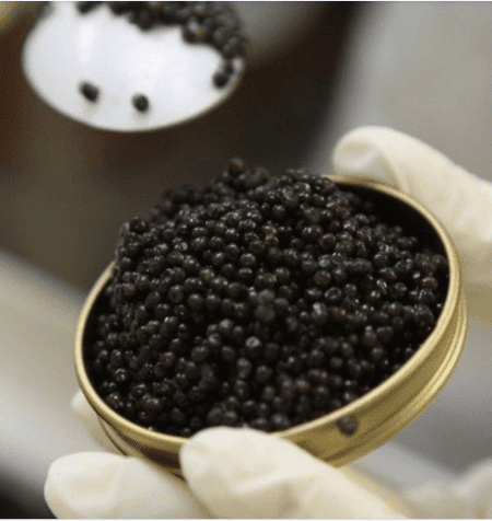 Premium Supplier of Caviar, Truffles & Foie Gras Malaysia