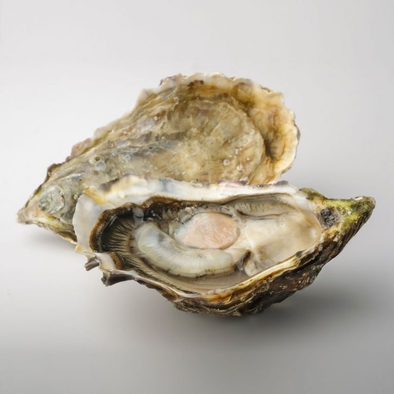 Oyster - Royale Gourmet