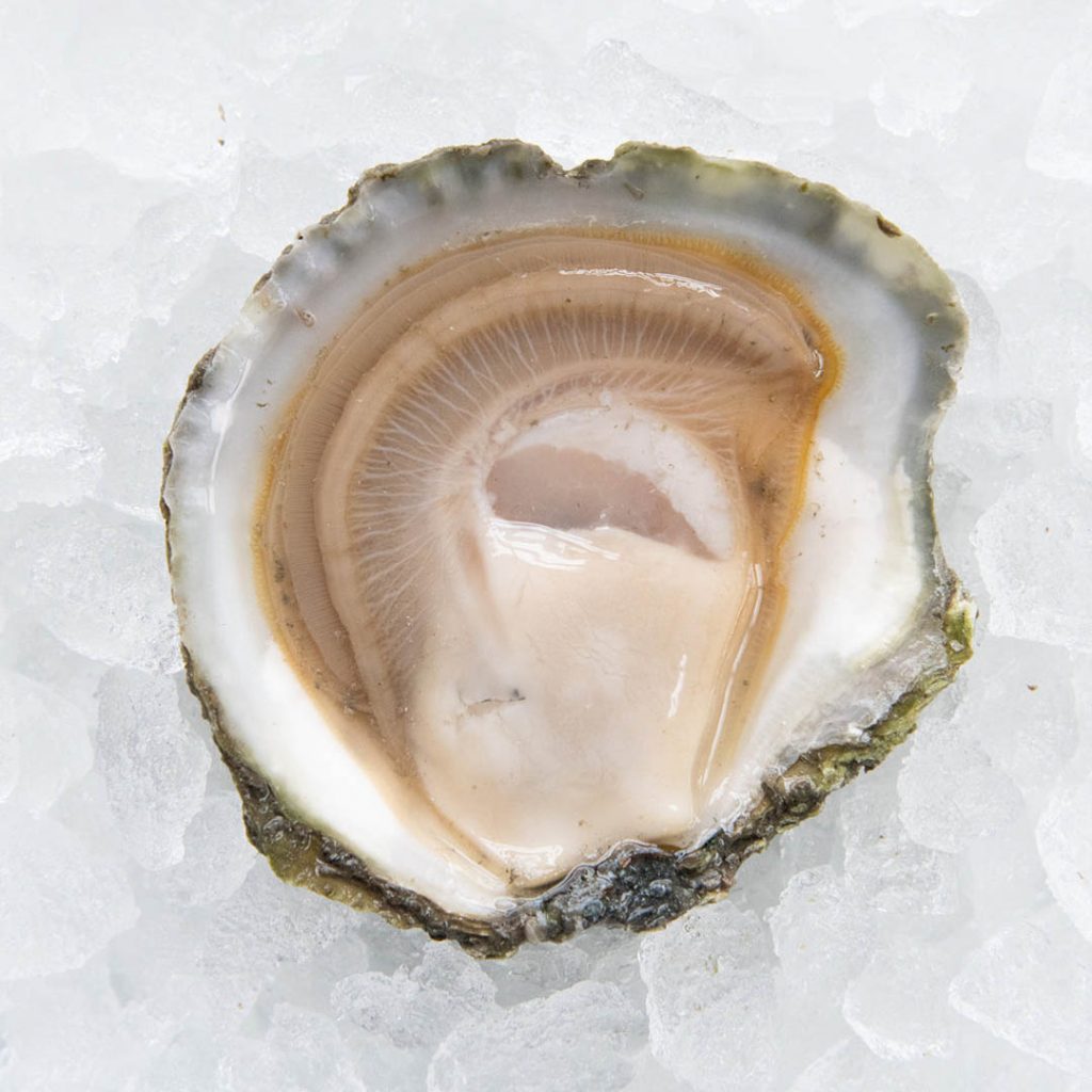 Belon Oysters N1 - Royale Gourmet