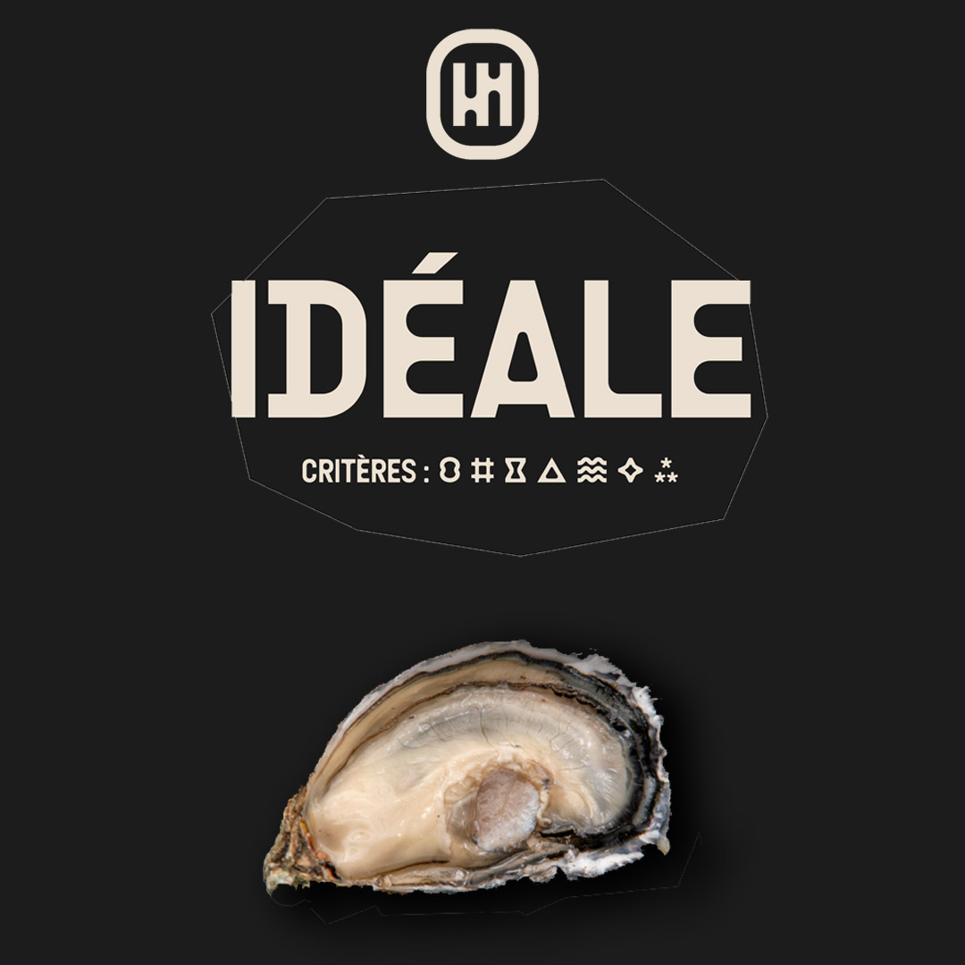 Fresh David Hervé Ideale Oysters N2 - Royale Gourmet